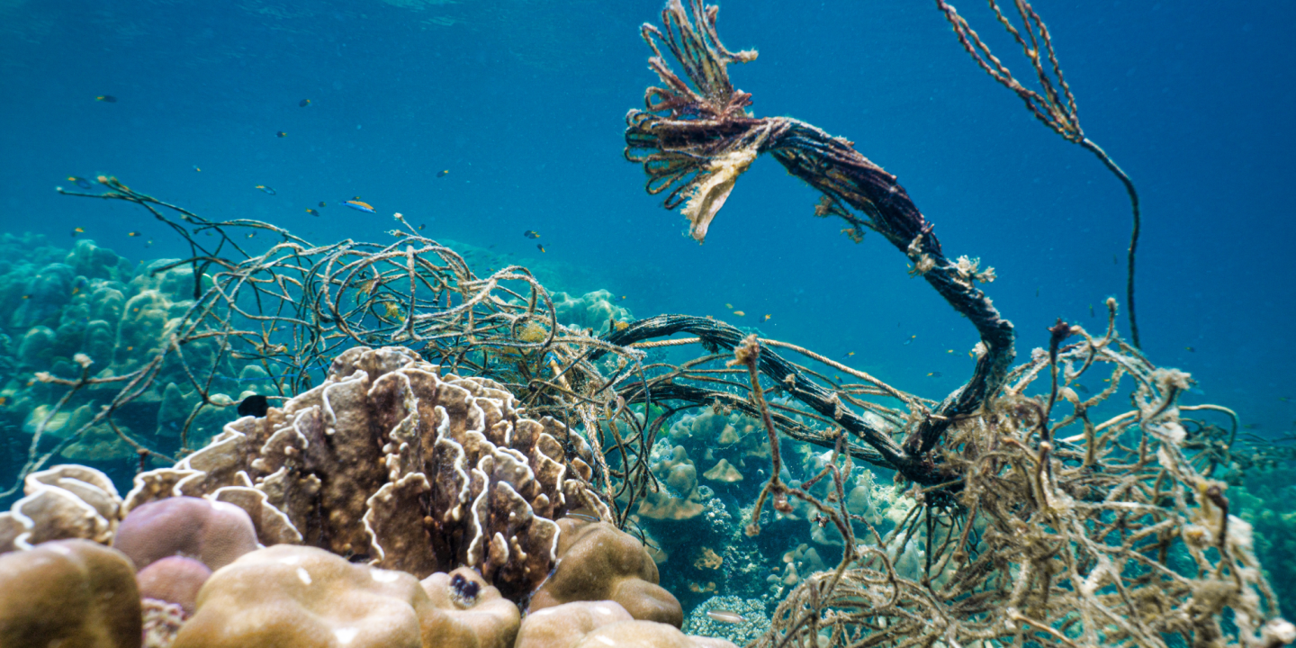 Ghost Gear: Industrial Fishing as the Dangerous Hidden Source of Ocean ...
