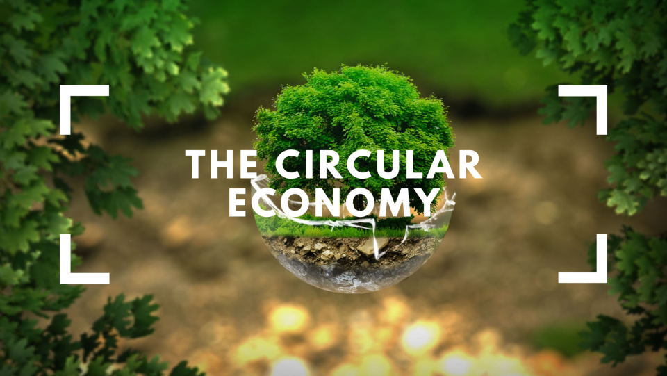 THE CIRCULAR ECONOMY - maholick.com